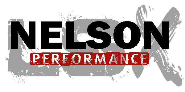 NP LSX WALL BANNER crop – Nelson Performance